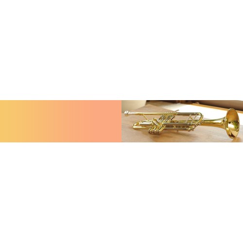 Buy Best Musical Instruments in Oman | Thomsun Music