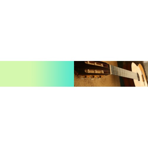 Buy Best Musical Instruments in Oman | Thomsun Music